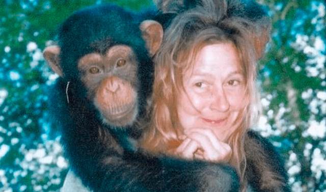 Charla Nash | Estados Unidos | Chimpance Travis | La mujer a la que un ...