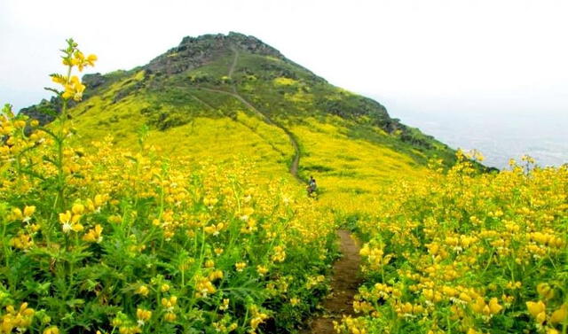 Verano 2023: ¿te gusta el trekking? Estas son las 9 lomas que puedes ...