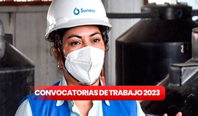 Sunass Convocatoria 2023 Qué Empleos Hay Disponibles Con Sueldos De