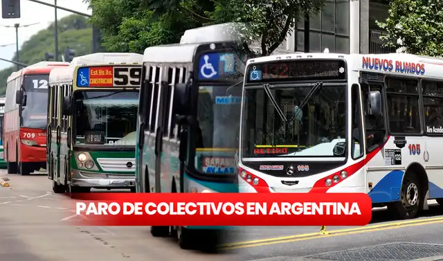 Nuevo paro de colectivos en Argentina: cuándo será y a qué se debe ...