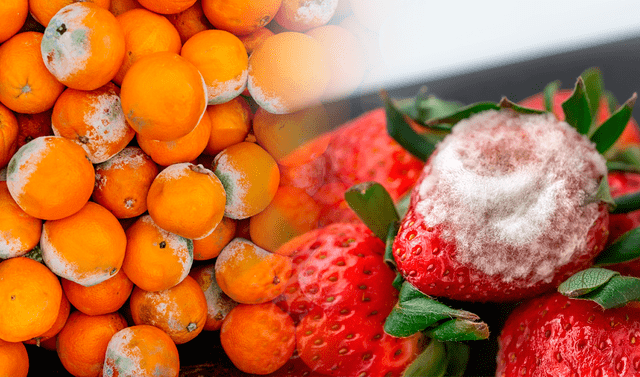 Si la fruta tiene hongo, ¿debería cortar la parte afectada y comer el ...