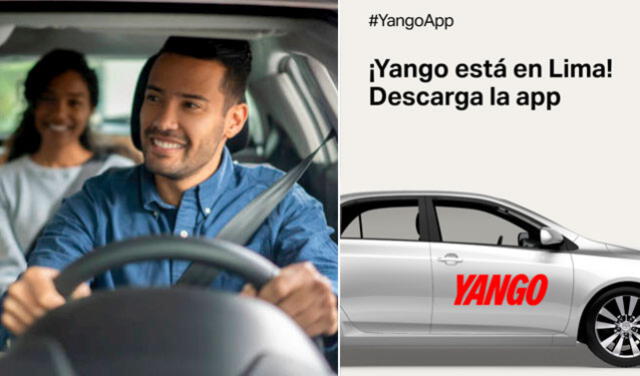 Yango, la nueva app de taxi, inicia operaciones en Perú desde S/3,50 ...