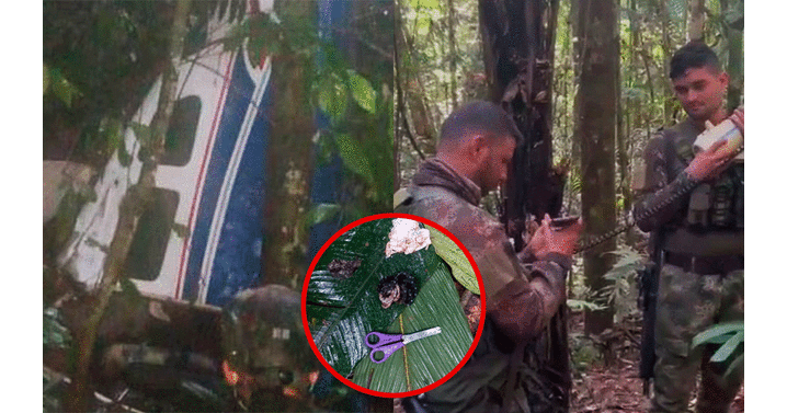 Desaparición De 4 Niños En Accidente De Avioneta En Colombia ¿qué Se