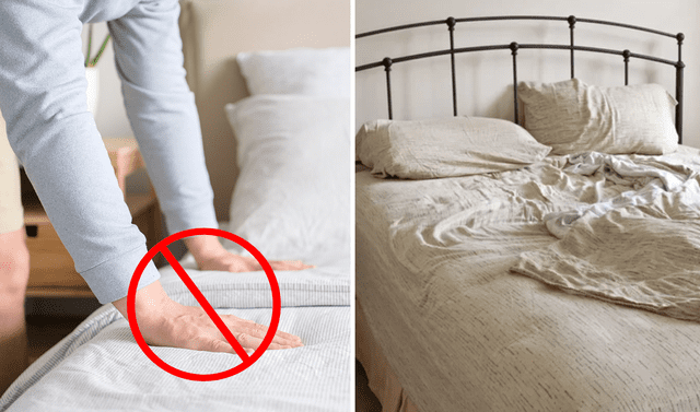 Ácaros en la cama: ¿por qué no deberías tender la cama ni bien te ...