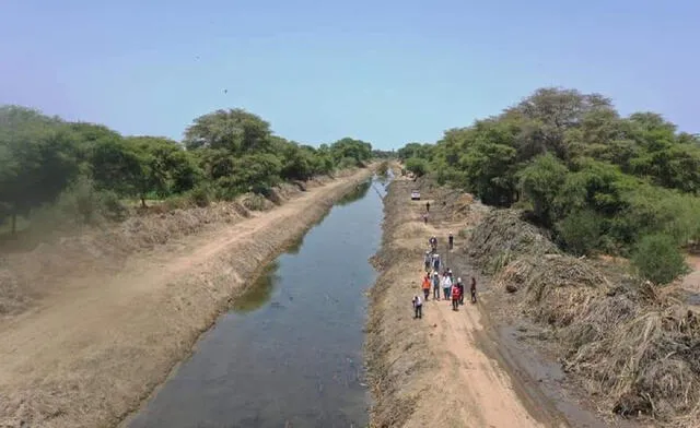 Piura: trabajos de descolmatación del dren 1308 presentan un avance del ...