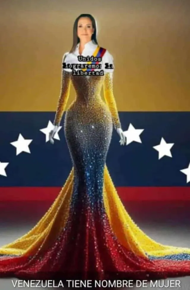 Elección Primaria 2023: mira los mejores memes que ha dejado la ...